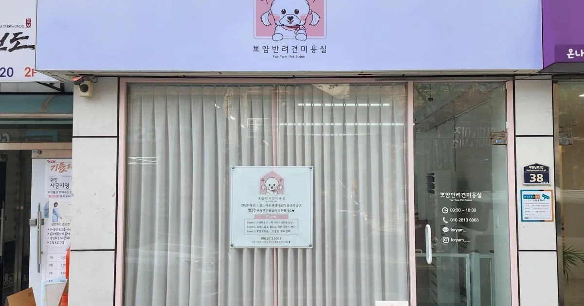 대구 뽀얌반려견미용실 핑크쉬폰커튼 창또바기 숨고 숨은고수