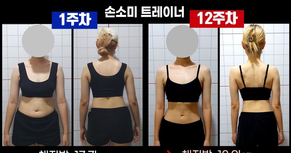 바디챌린지 손소미 숨고 숨은고수