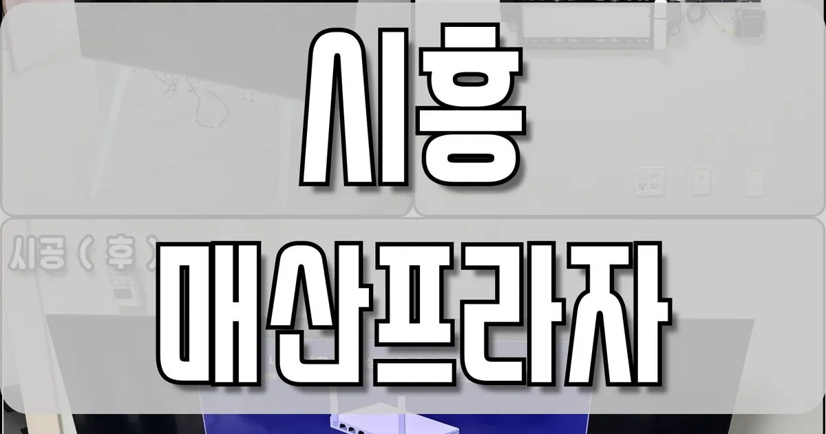 시흥 매산프라자 티비네트 숨고 숨은고수