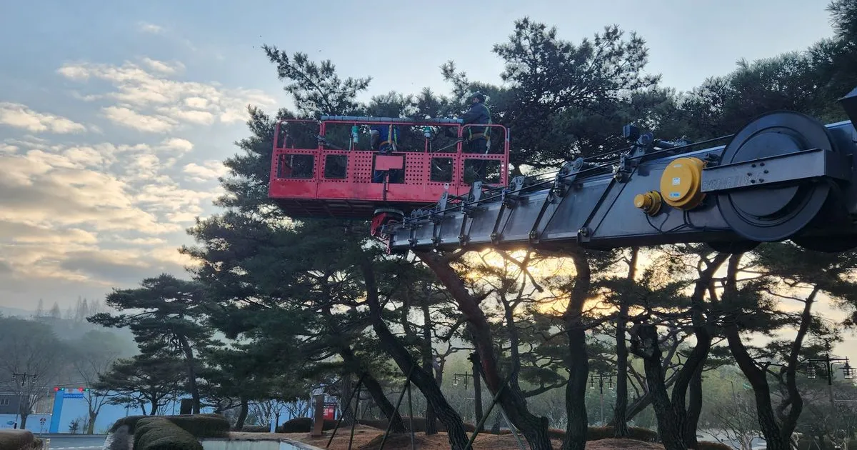 경주 라한호텔 조경연간관리 솔아조경 숨고 숨은고수