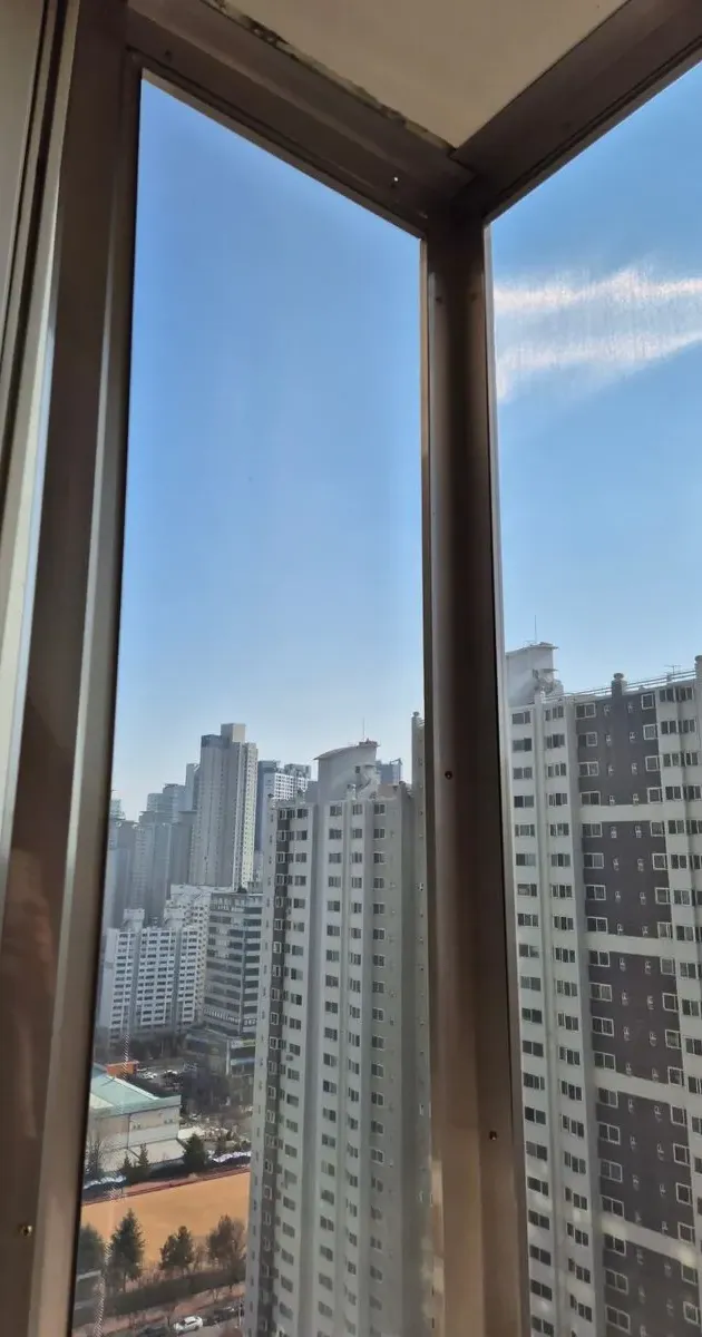 비둘기퇴치망 제이제이 홈케어 숨고 숨은고수
