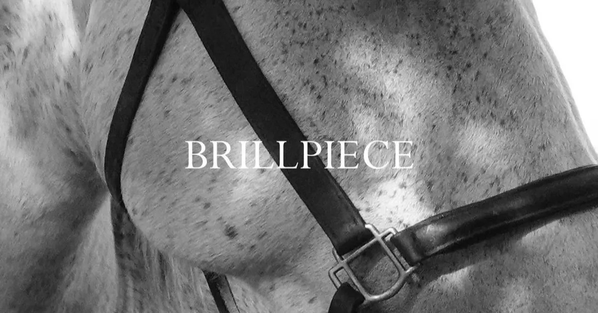 BRILLPIECE / Romee Oh - 숨고, 숨은고수