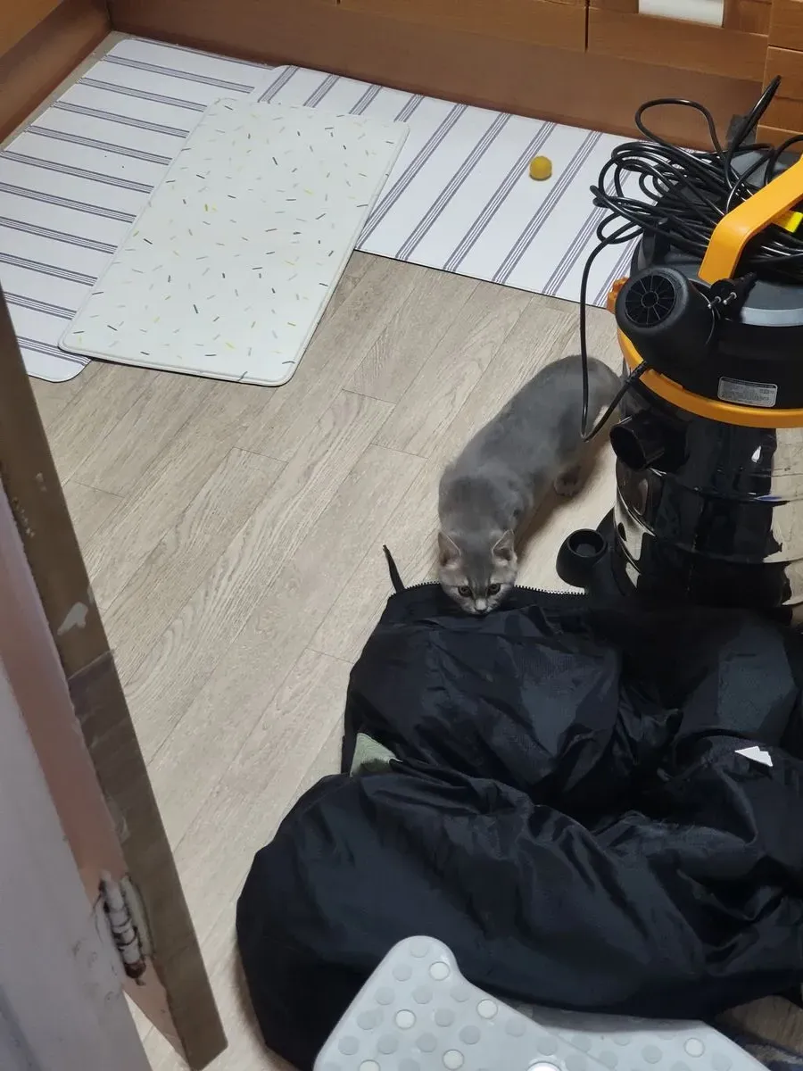 뚜러콩 뚜러콩 24시 하수구 변기 배관막힘역류 고압세척 숨고 숨은고수