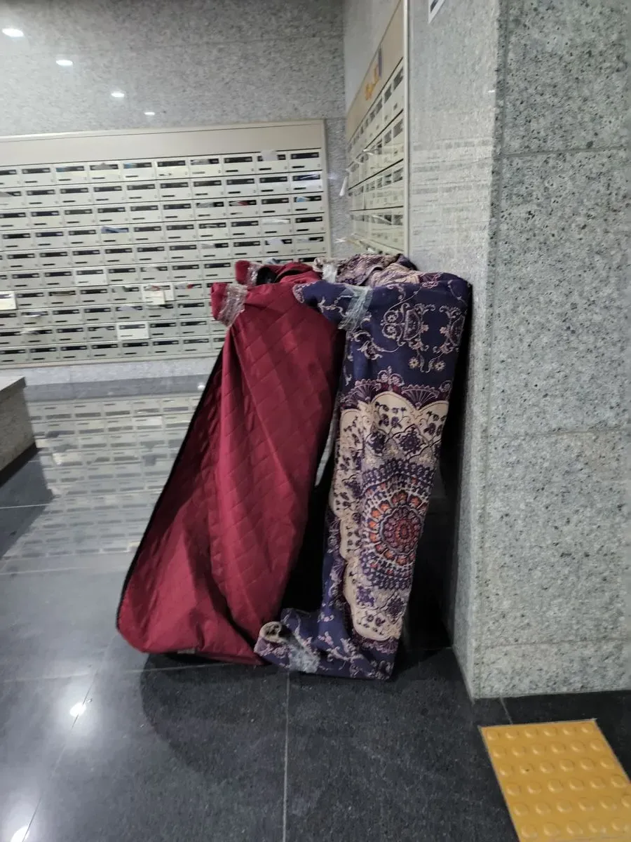 송파구 원룸이사 용달이사 소형이사 원종구 숨고 숨은고수