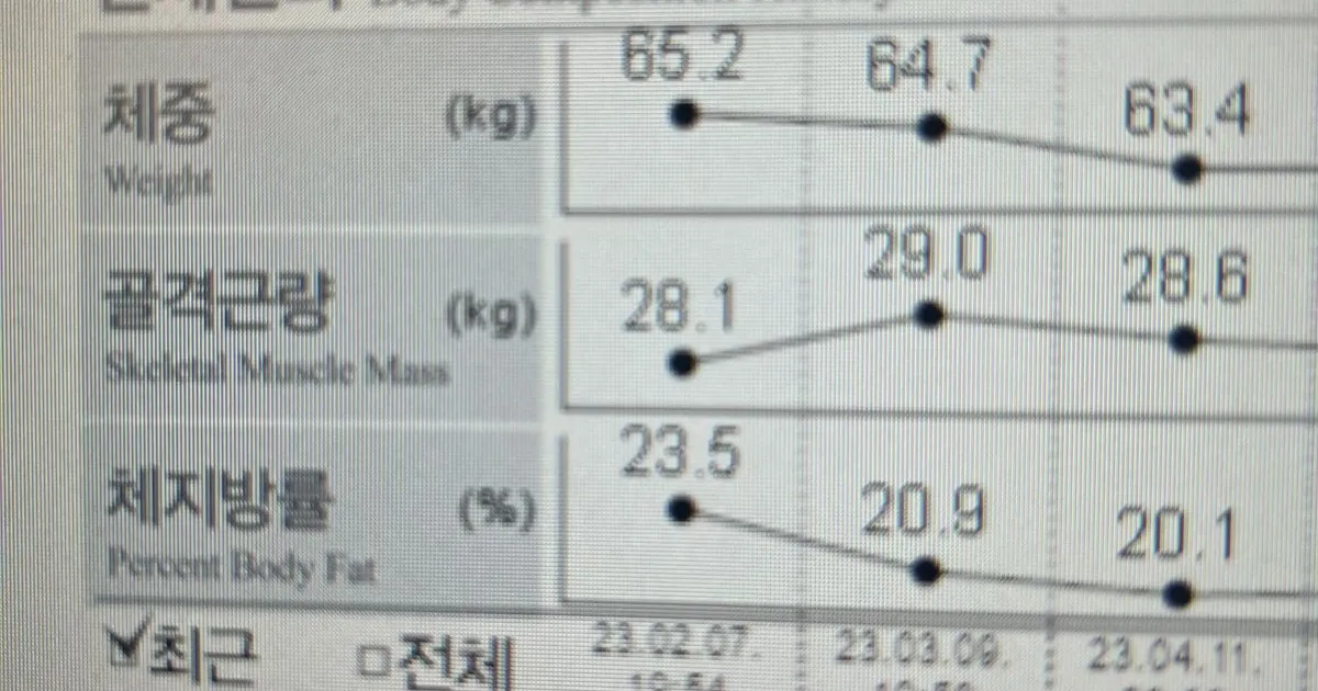 체지방 컷팅과 근육량 증가 Son쌤 Pt 숨고 숨은고수
