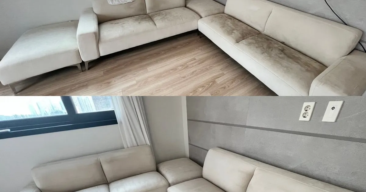 집요한 얼룩제거 마스터 클리어뷰 클리어뷰 숨고 숨은고수