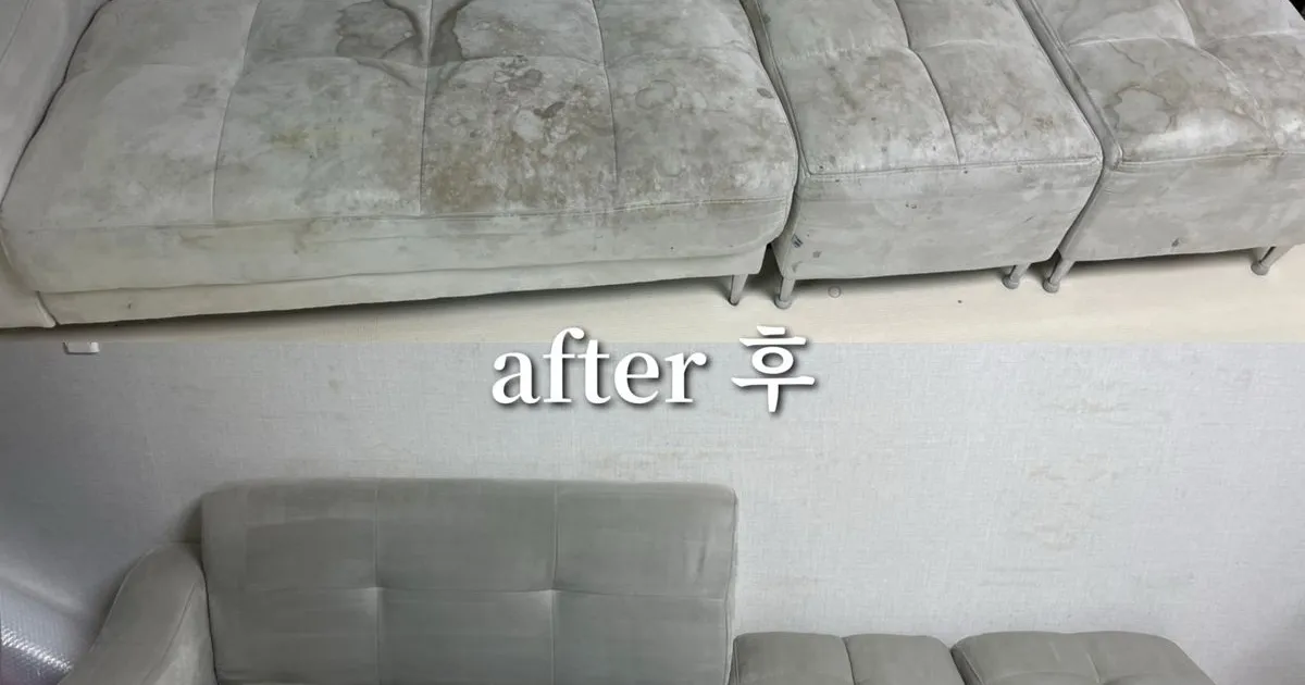 오염 소파 깨끗하게 세탁하기 비치움 클린남 숨고 숨은고수