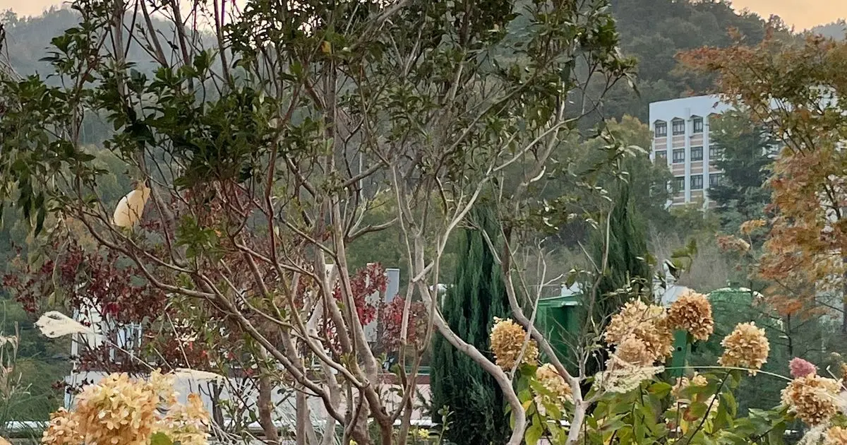 요양병원 I 옥상정원 조경시공 박묘정 숨고 숨은고수