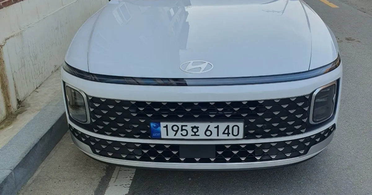 그랜저 GN7 LPG 출고 / 정특건 - 숨고, 숨은고수