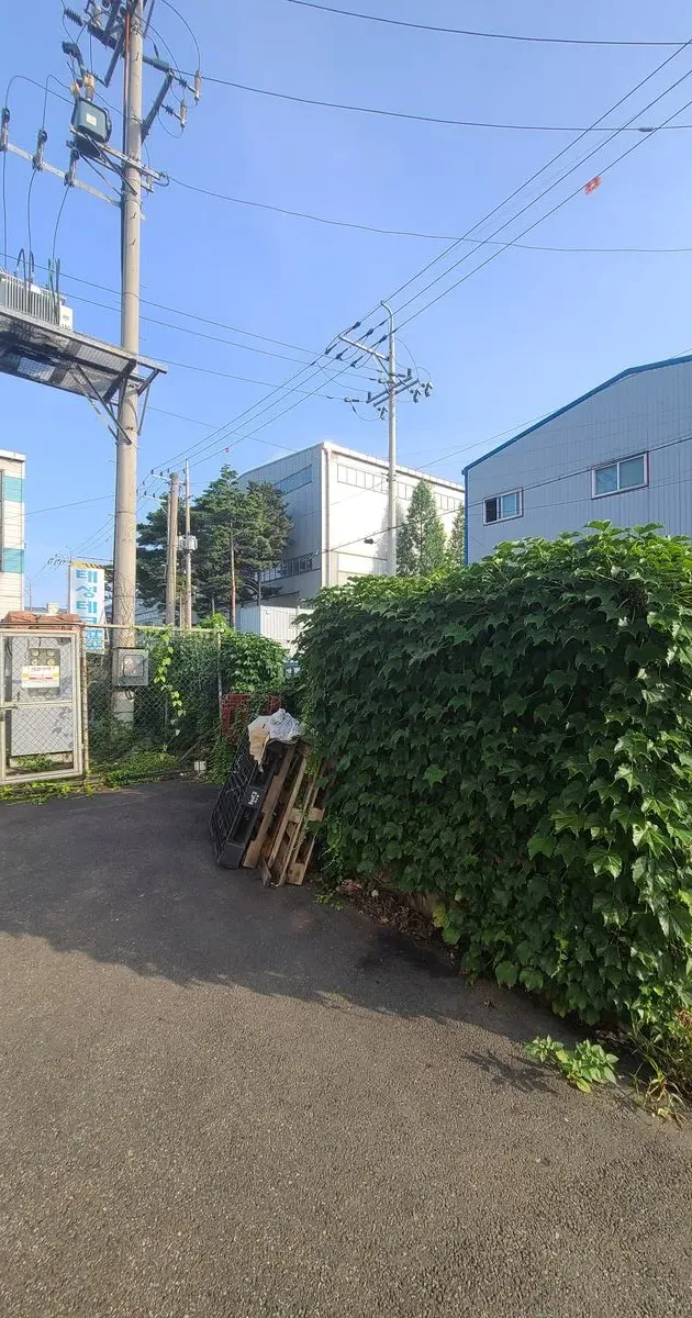 인천 대한 ㅇㅇㅇ 명화조경인천안성구리 사무소 숨고 숨은고수