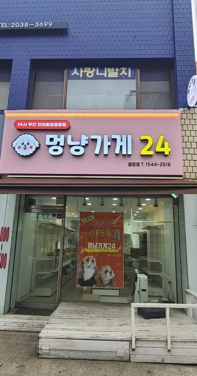 애견 제일광고 숨고 숨은고수