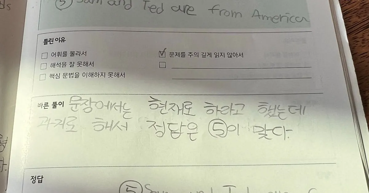 샘플 초등학생 Im 레벨 문법 역설명 오답노트 자료 이윤재 숨고 숨은고수
