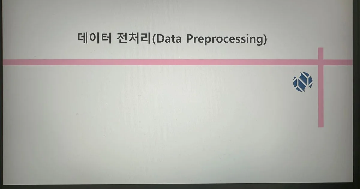 데이터전처리 입문 피플앤피플 숨고 숨은고수