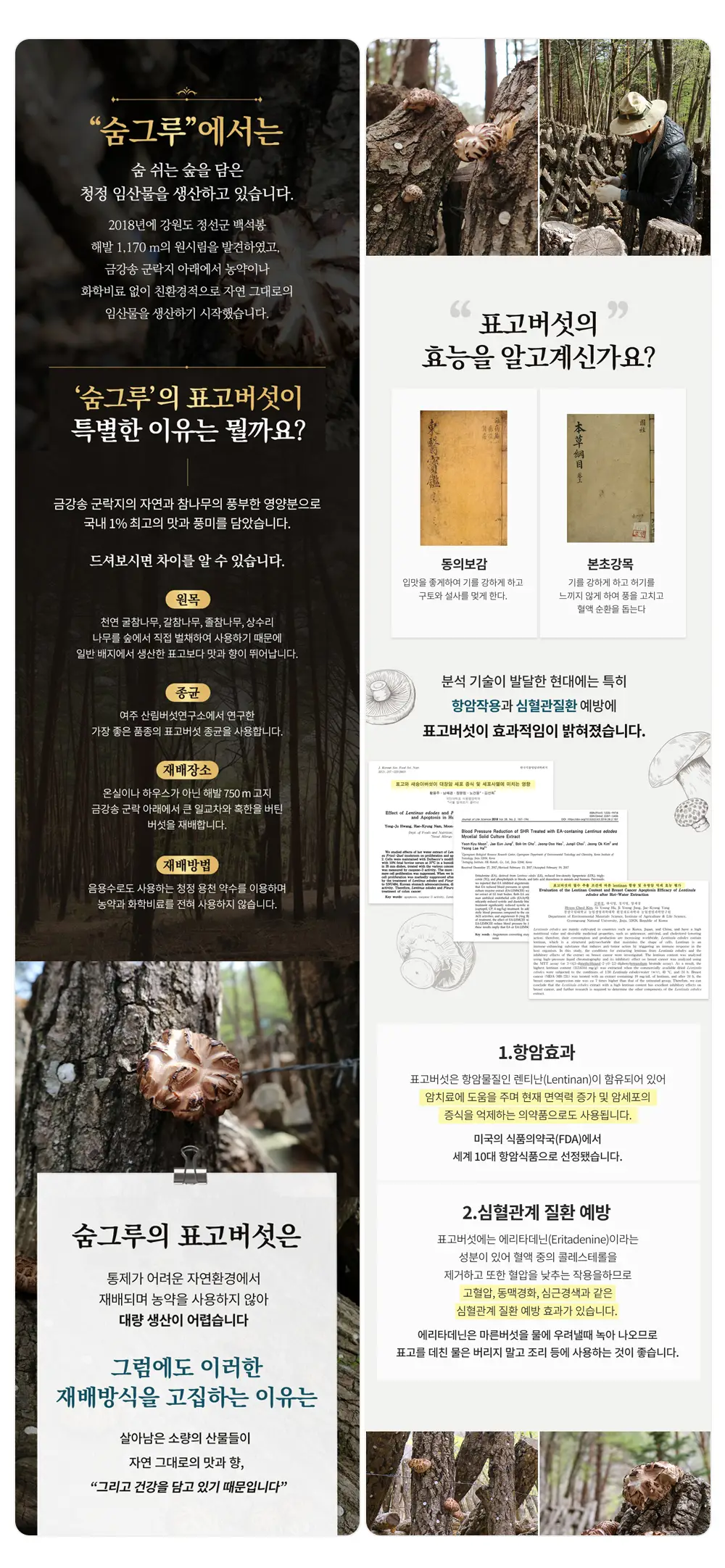 고객을 설득하는 상세페이지배너 권민지 숨고 숨은고수