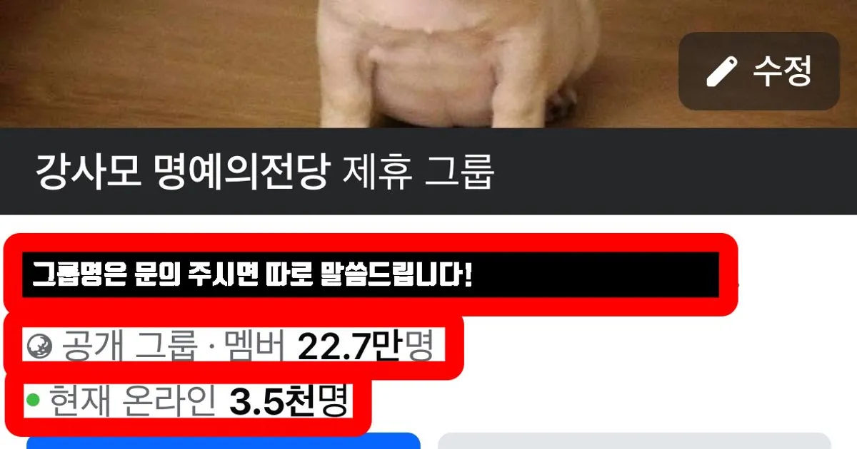 23만명 페이스북 애견 그룹에 광고해 드립니다 강사모 숨고 숨은고수