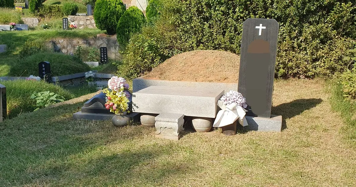 벌초 제초작업 오승호 숨고 숨은고수