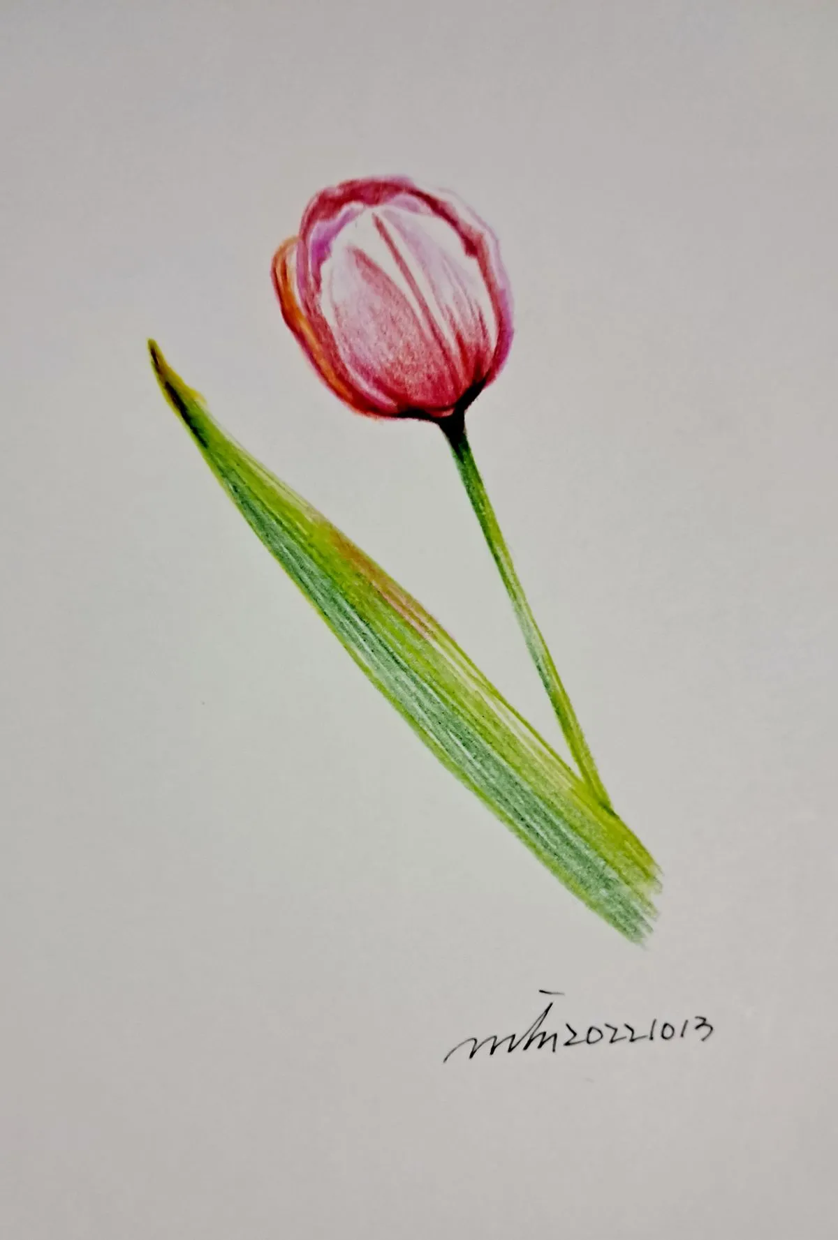 그림 이민주 숨고 숨은고수