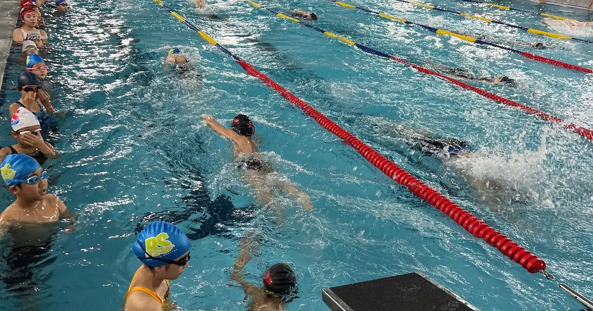 어린이 14 레슨 및 성인 프리미어 11 12레슨 Realswim Academy 숨고 숨은고수