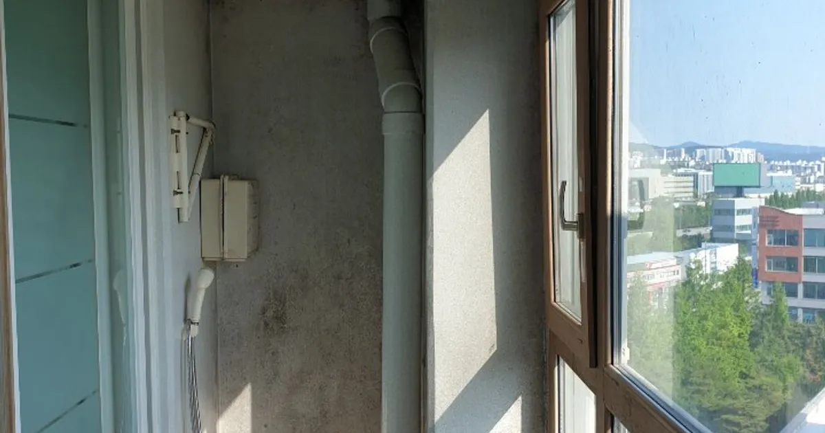 베란다 곰팡이 뿌리부터 완벽제거와 재발방지 시공방법 올바른 시공 숨고 숨은고수