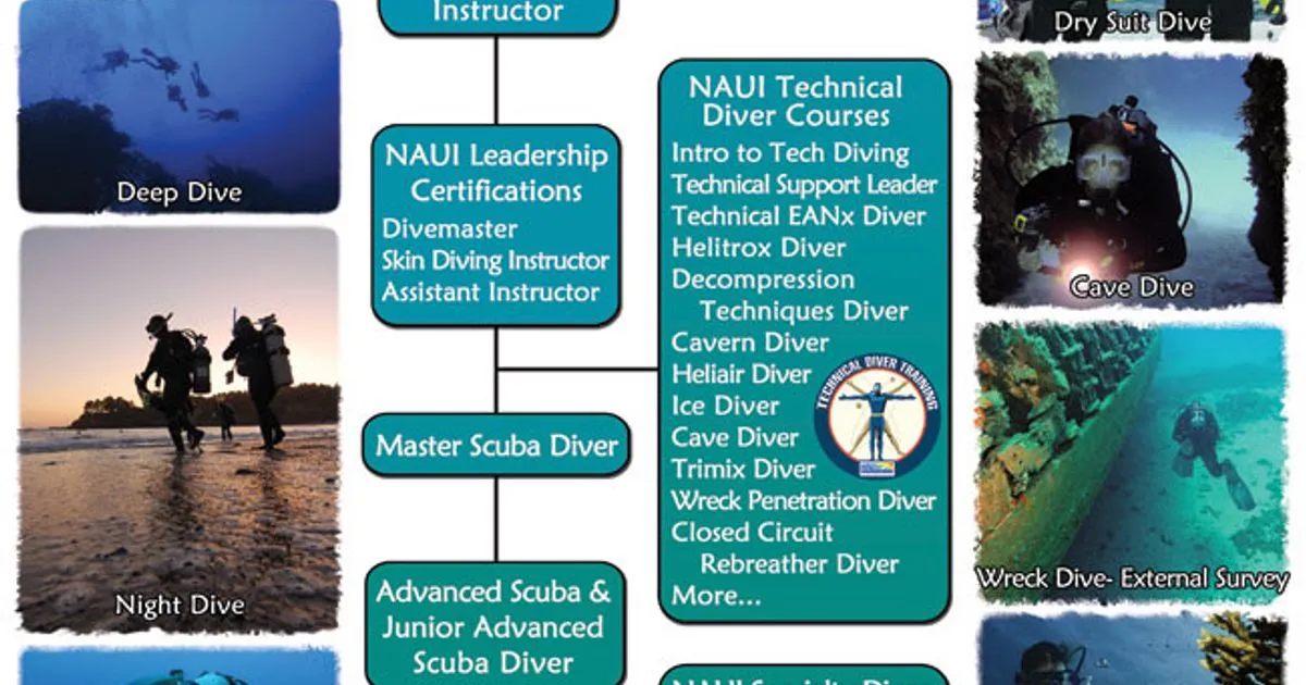 NAUI course / 헝그리다이버 - 숨고, 숨은고수