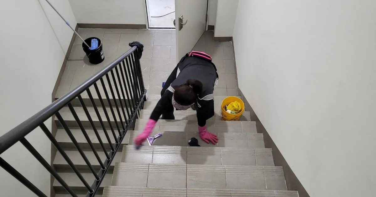 계단청소 홍크린 숨고 숨은고수