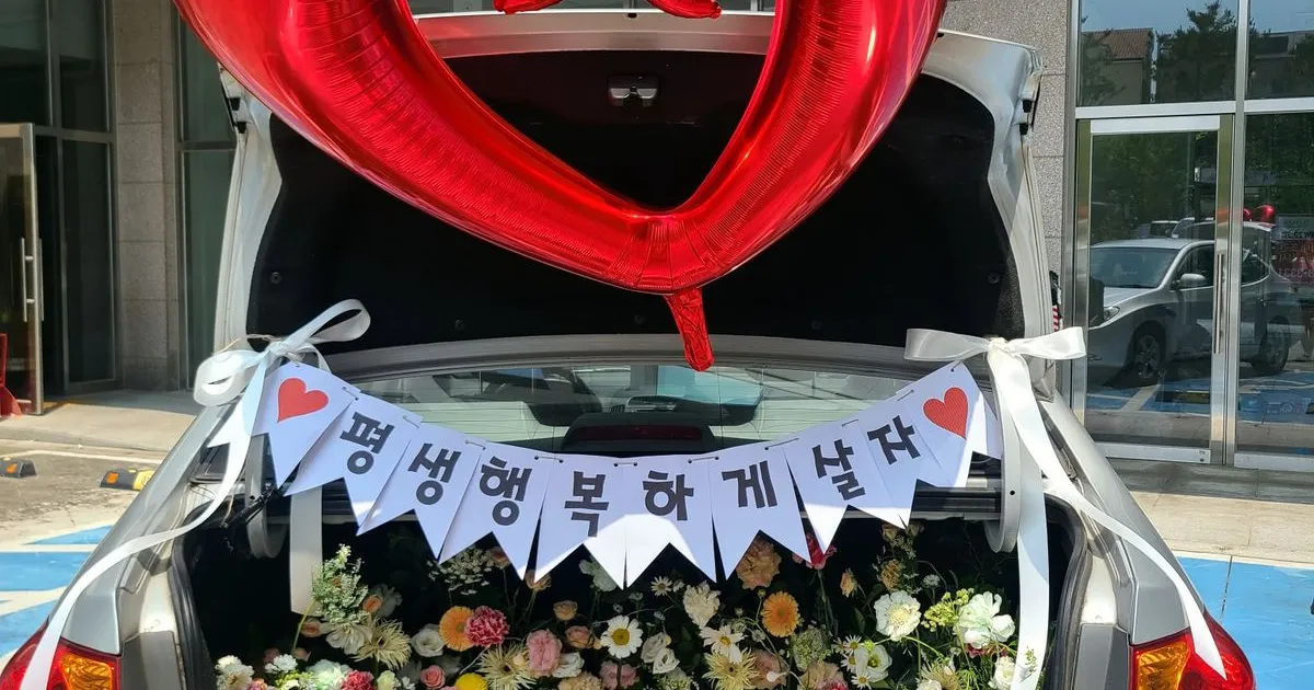 트렁크프로포즈 고운햇살플라 숨고 숨은고수