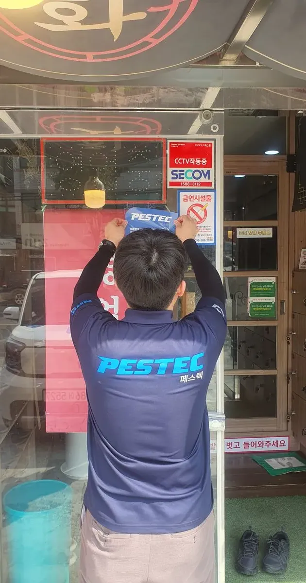 중식당 정기방역 벌레잡는총각들pestec화성 숨고 숨은고수