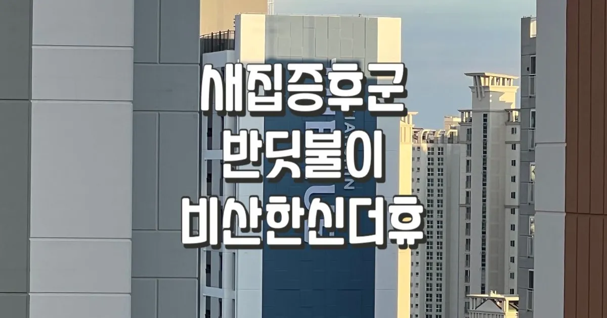 반딧불이 새집증후군 안양 비산한신더휴 시공 사례 반딧불이 새집증후군 숨고 숨은고수
