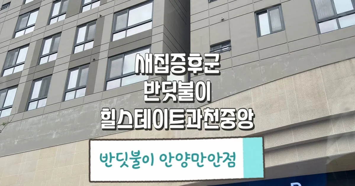 반딧불이 새집증후군 힐스테이트과천중앙 시공 사례 반딧불이 새집증후군 숨고 숨은고수