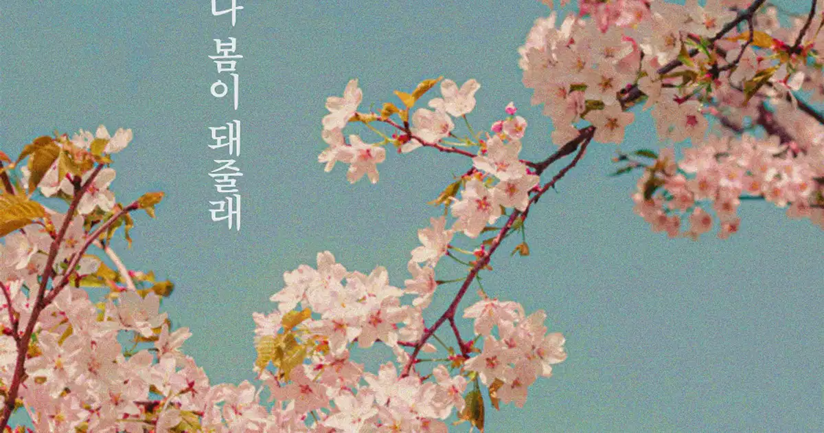김우정 언제나 봄이 돼줄래 Feat 주대건 프로듀서 라포 숨고 숨은고수