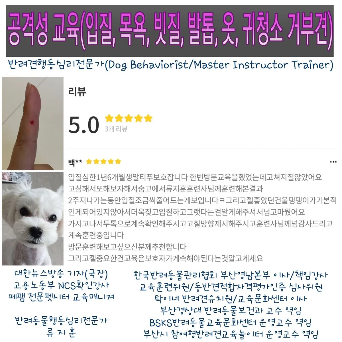 공격성 교육입질목욕빗질발톱옷귀청소 거부견 류지훈 숨고 숨은고수
