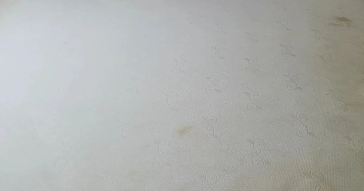 전체적으로 퍼진 오래된 찌든때와 얼룩들 제거 깨끗한방 숨고 숨은고수