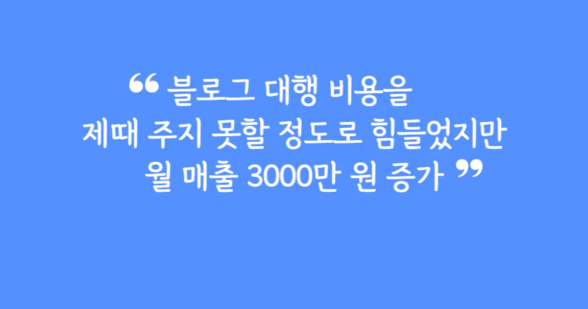 매출 3000만원 증가 오직 브랜드블로그 하나로 블로그 1타 온아시스 숨고 숨은고수