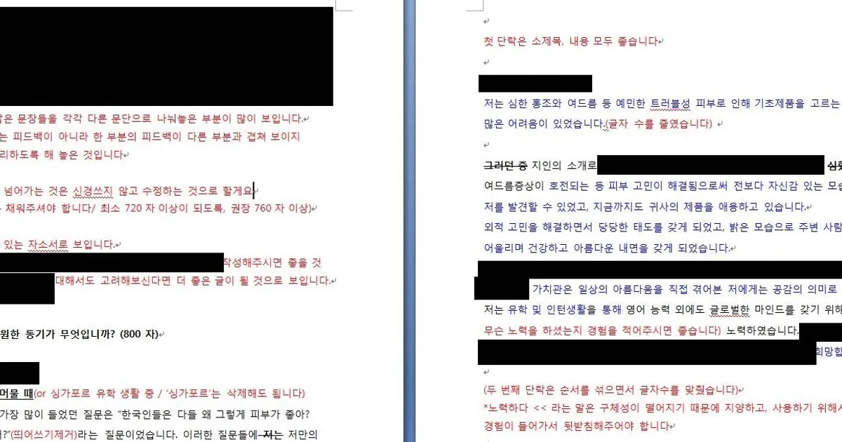 취업 자소서 첨삭 및 컨설팅 김세영 자소서면접 숨고 숨은고수