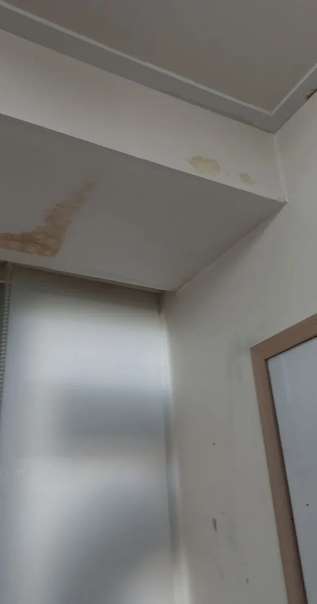상가 인테리어 도배 예목하우징 숨고 숨은고수