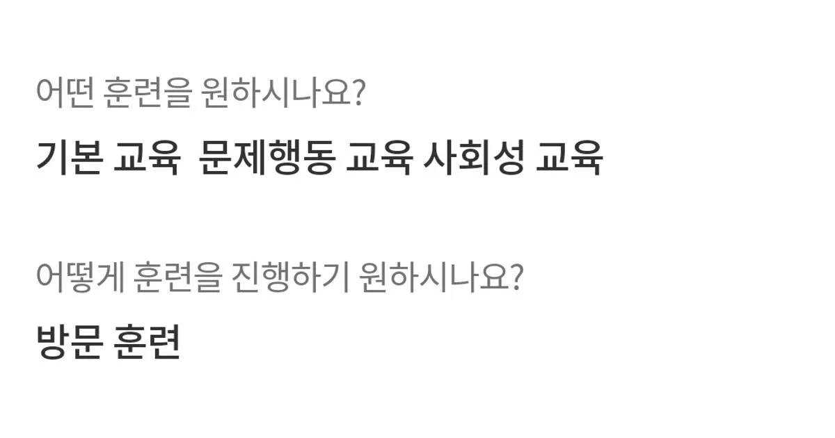 방문훈련 광명시 콩떡이 조강호 숨고 숨은고수