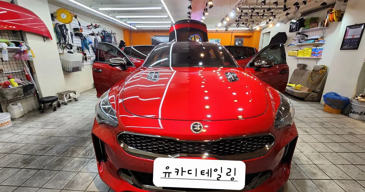 스팅어 디테일링세차 안중호 숨고 숨은고수