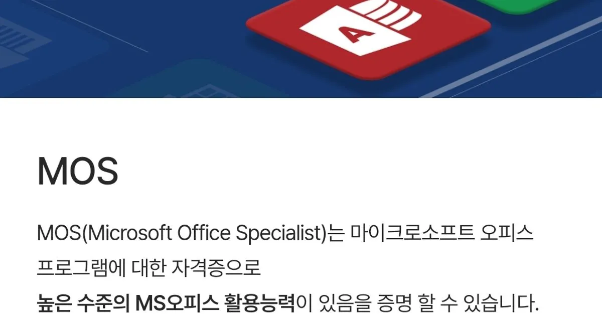 대학교 전문 강사 활동 정양진 숨고 숨은고수