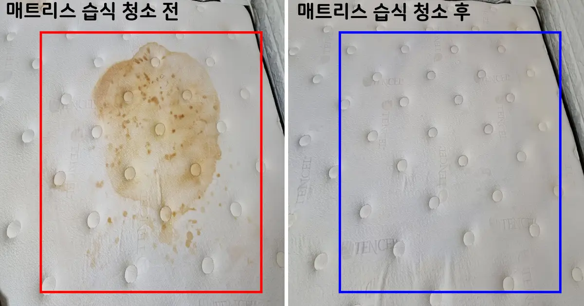 침대 매트리스 오줌 및 곰팡이 제거 클린공방 숨고 숨은고수