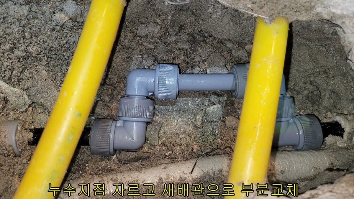 아파트 온수배관 누수탐지 김영국 숨고 숨은고수