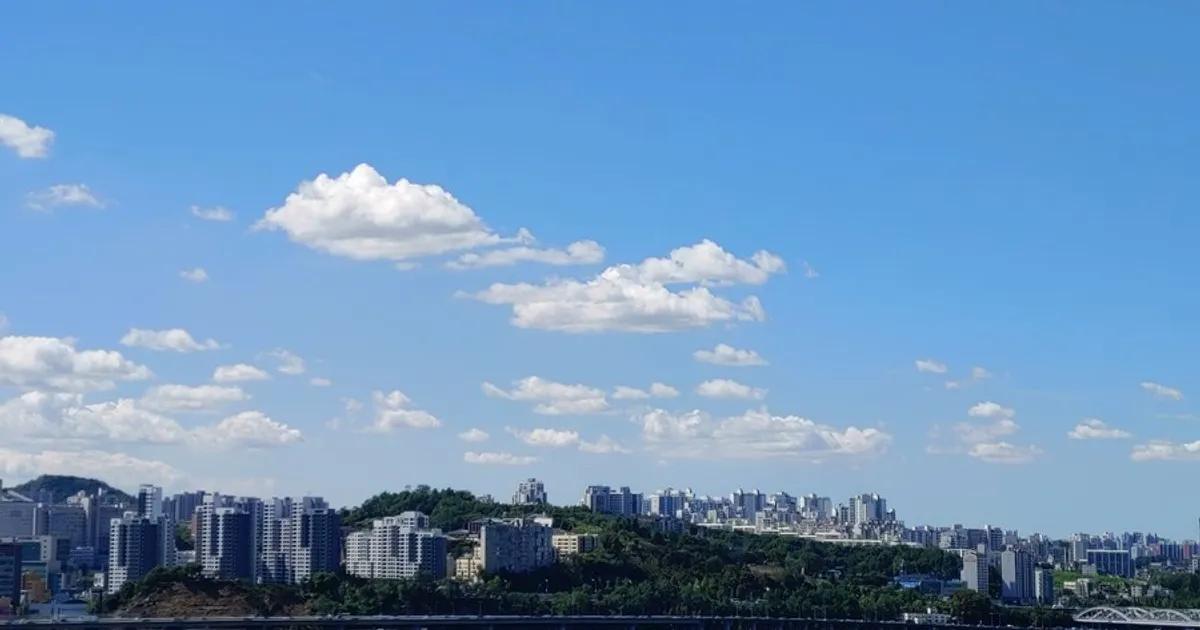 베란다 창고 곰팡이제거 단열결로 시공전문 곰팡이닥터 숨고 숨은고수