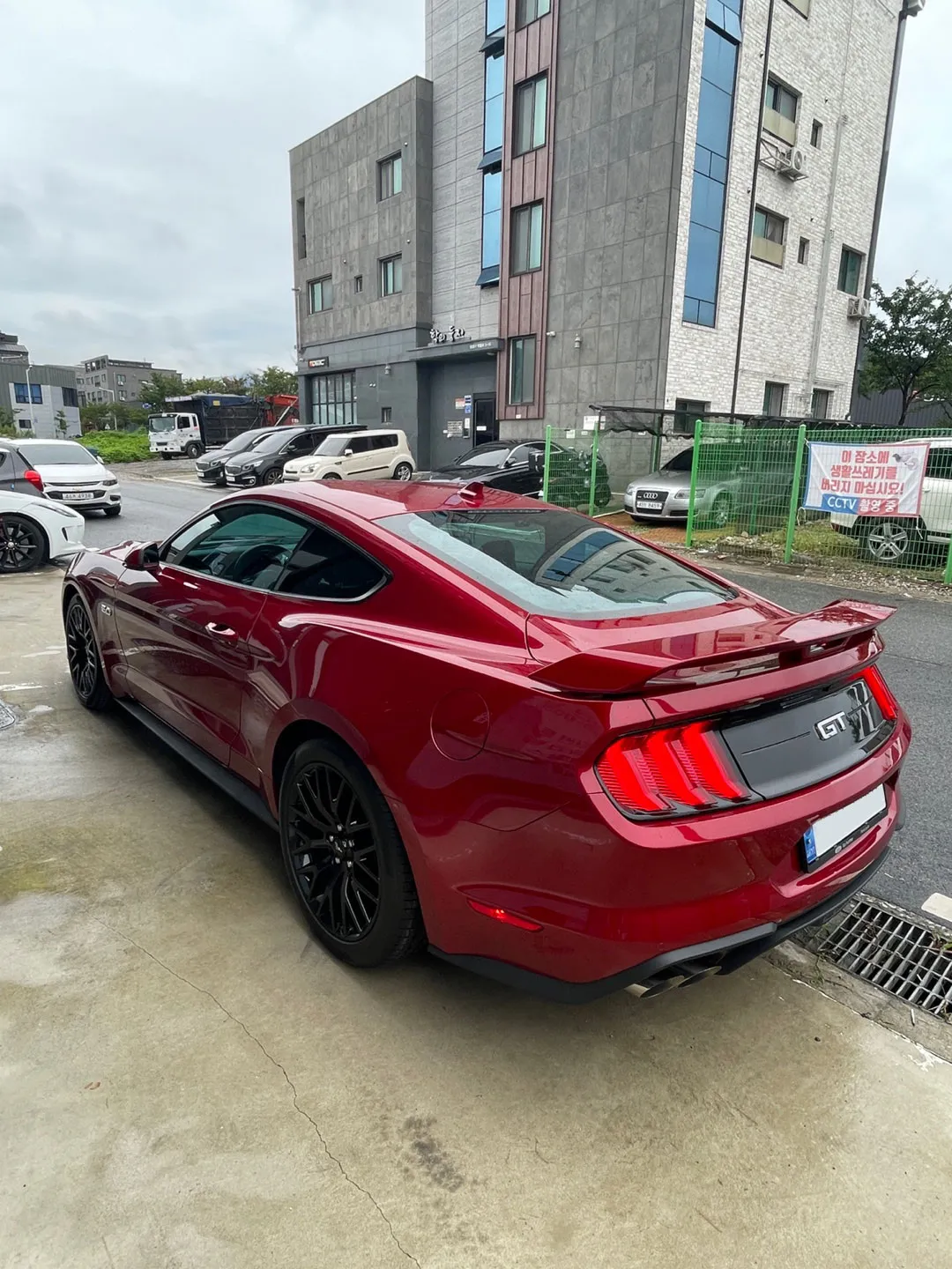 머스탱 50 Gt 쿠페 하버캠프 세라믹본드 어항 썬팅 메테오 틴트 숨고 숨은고수
