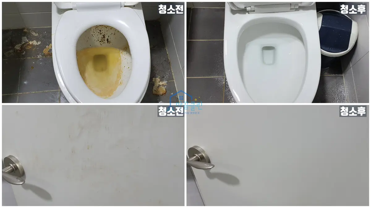 대구대학교 원룸 쓰레기집 청소특수청소 말끔클린 숨고 숨은고수