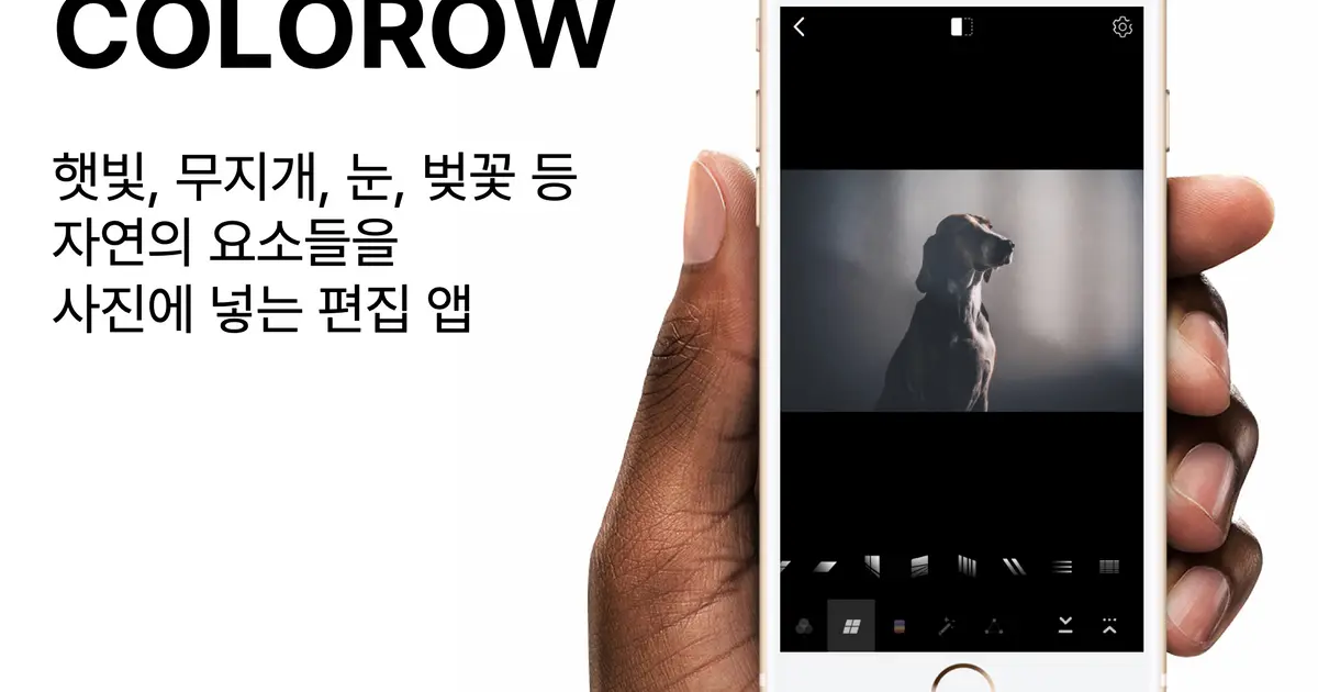 개인앱colorow애플 추천앱 김경수 숨고 숨은고수