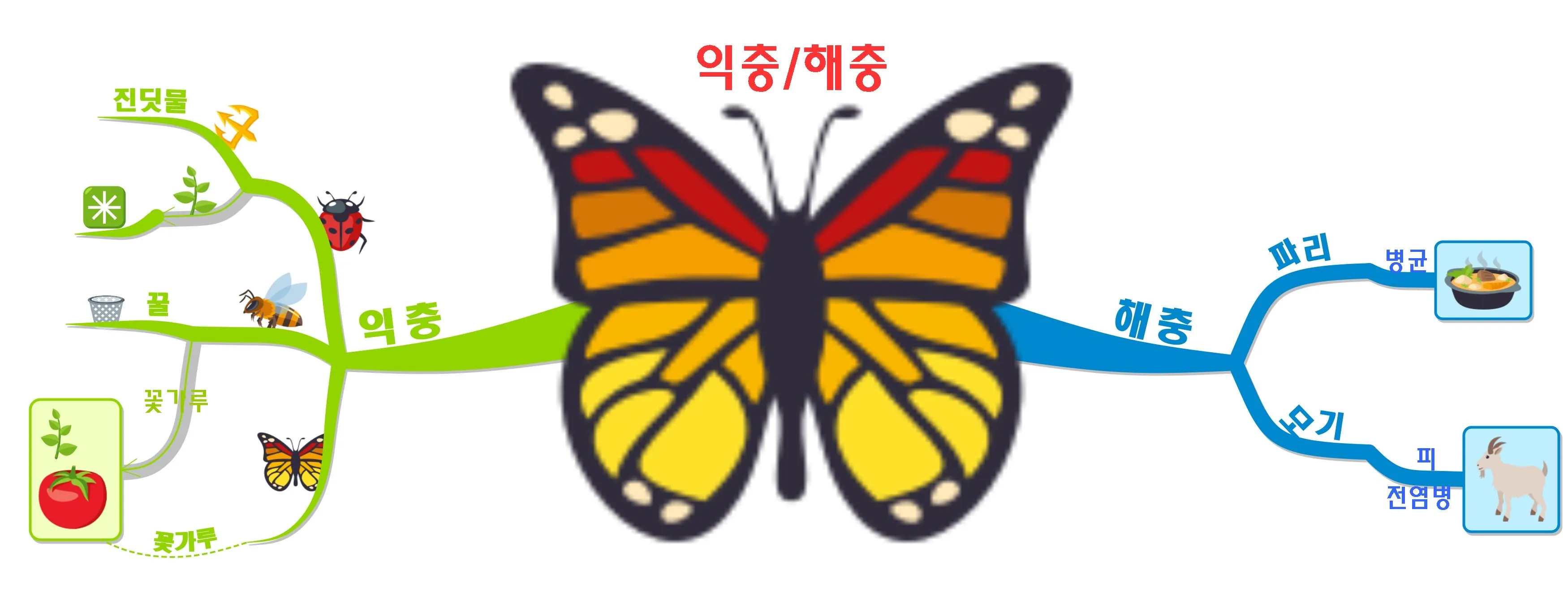 마인드맵핑 최방현 숨고 숨은고수