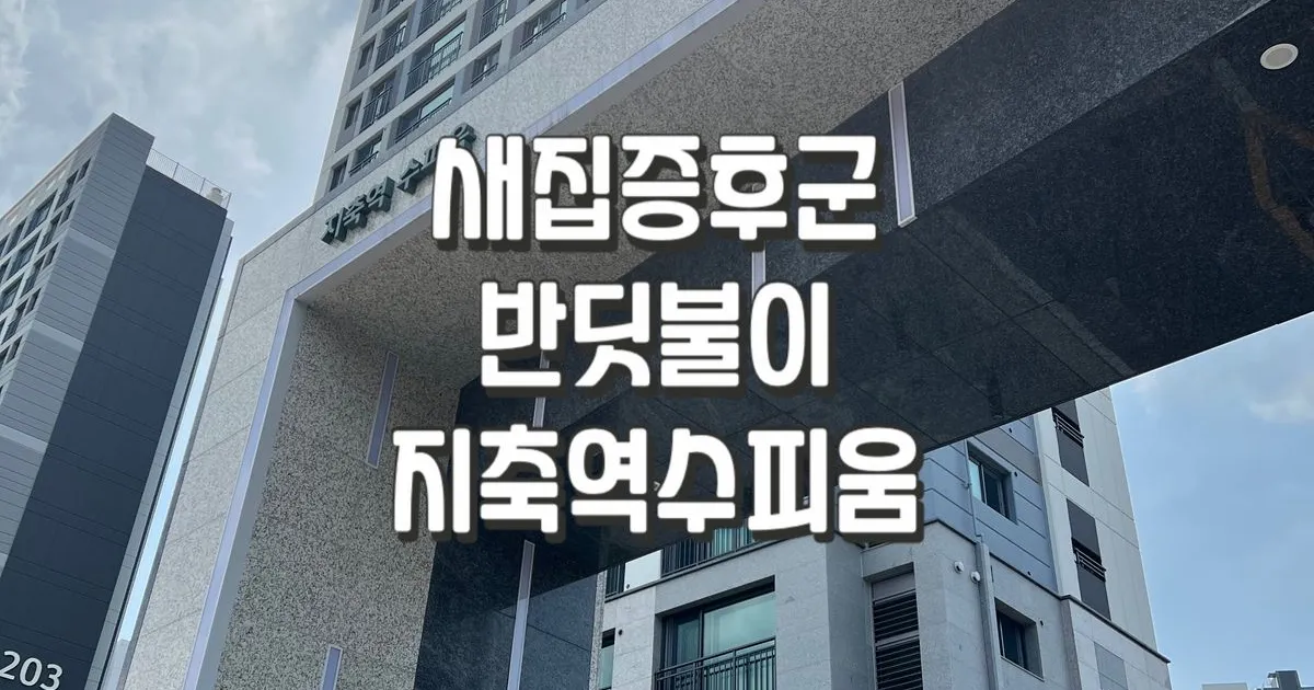 반딧불이 새집증후군 지축역수피움 시공 사례 반딧불이 새집증후군 숨고 숨은고수