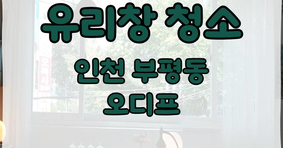 인천 부평동 오디프 클린프렌즈 숨고 숨은고수
