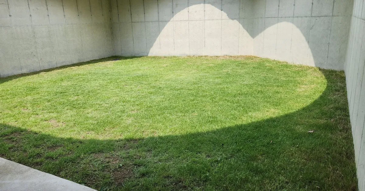 신설동 스튜디오 예초작업 예초벌초 클린박사 작업은 프로에게 맞겨주세요 숨고 숨은고수