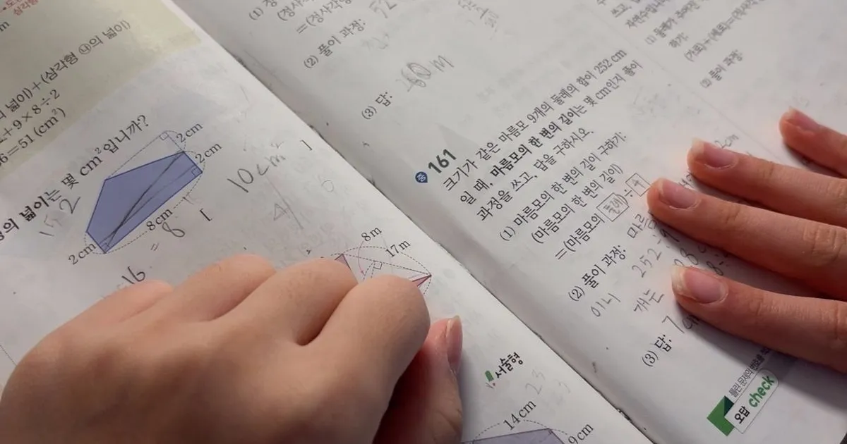 초등 수학 멘토링 김하빈 숨고 숨은고수