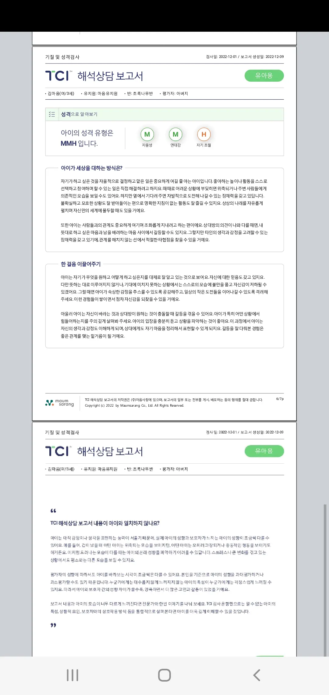 TCI기질 및 성격검사 결과(2p)해석상담보고서(6p) / 조이엘 - 숨고, 숨은고수